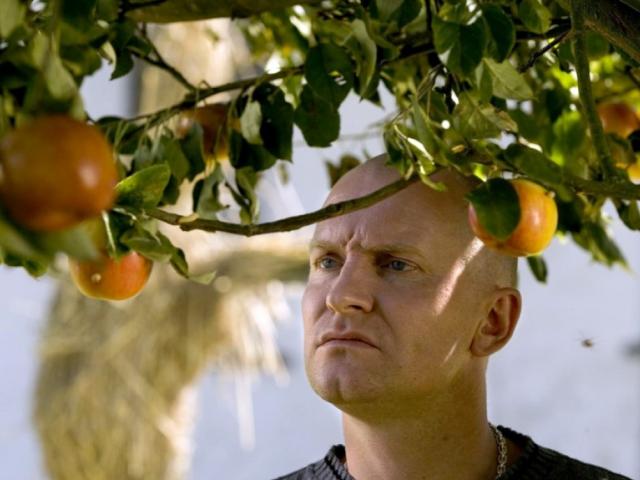 Ádám almái