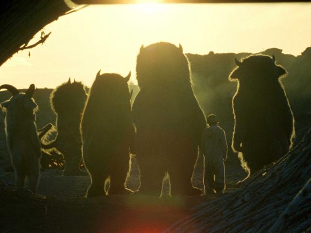 Ahol a vadak várnak