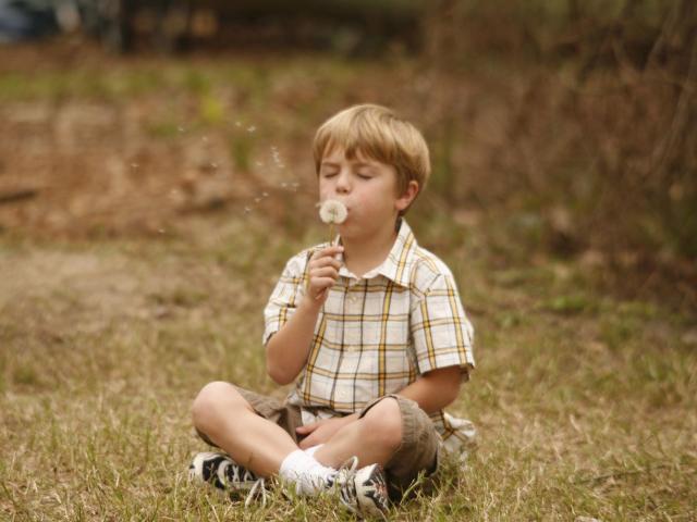 Maxwell Perry Cotton